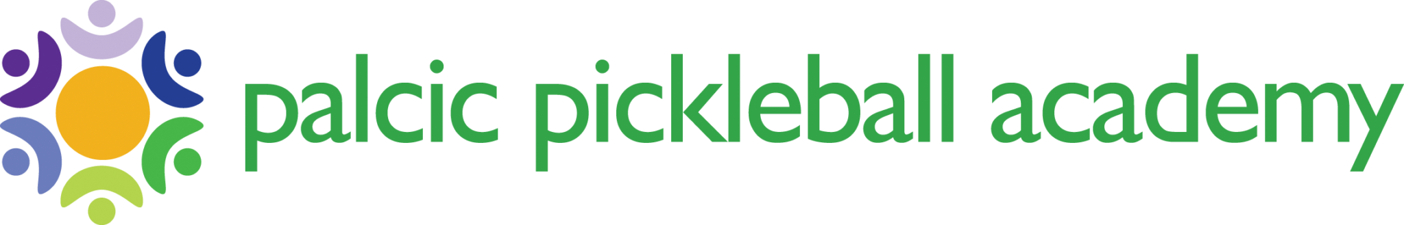 Palcic Pickleball Academy – Mastering Every Play Every Day